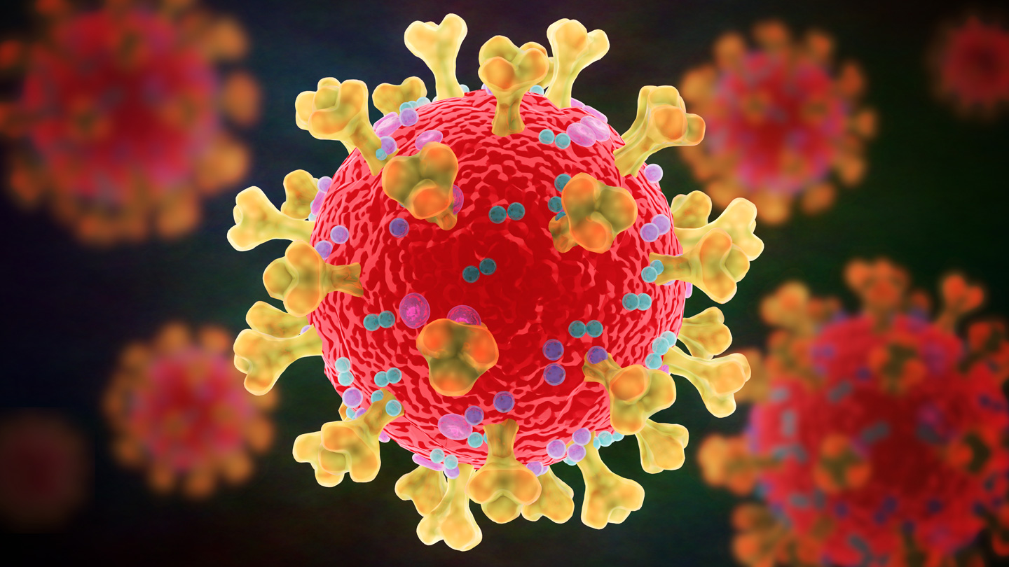 Researchers Find Evidence Of A Coronavirus Epidemic 20 000 Years Ago