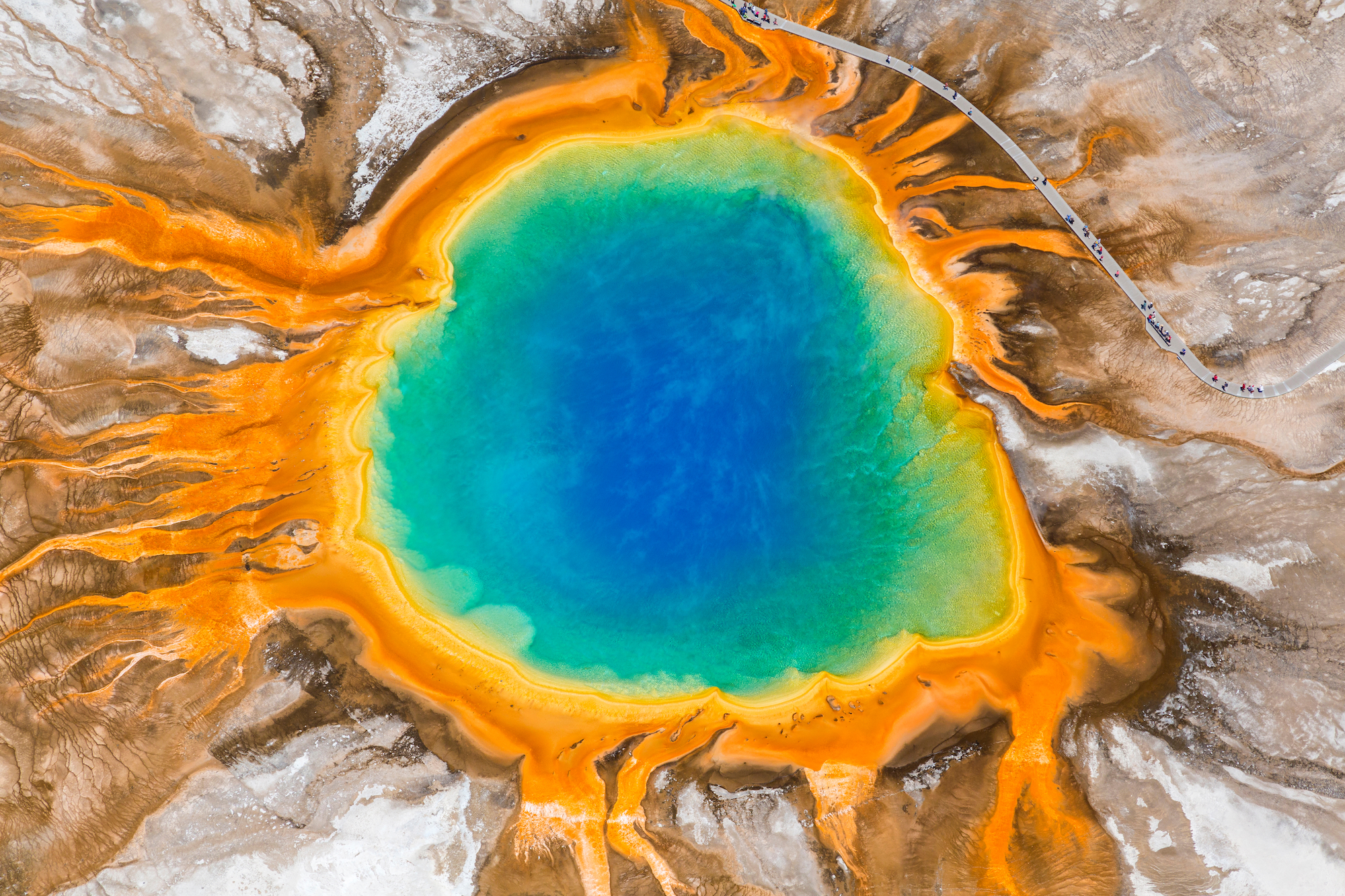 Loathed by scientists, loved by nature: sulfur and the origin of life ...
