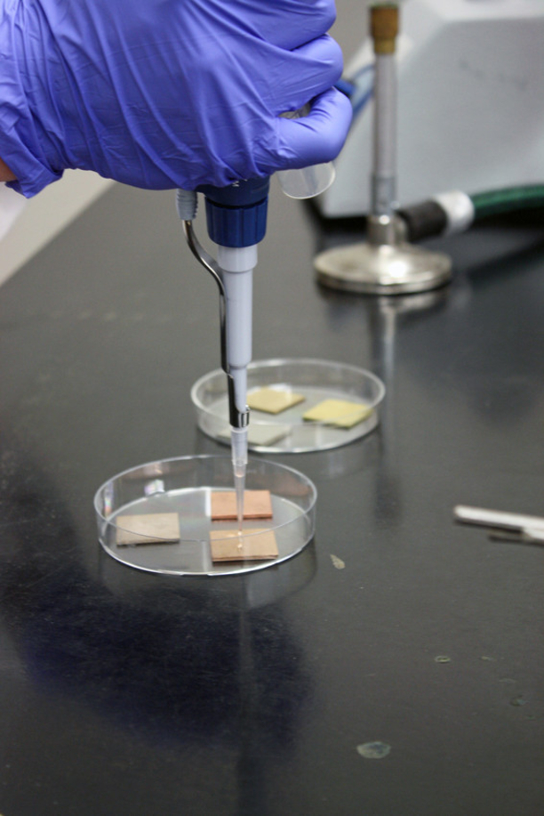 Copper Kills Harmful Bacteria, UA Researchers Find | UANews Copper Kills Harmful Bacteria, UA Researchers Find | UANews