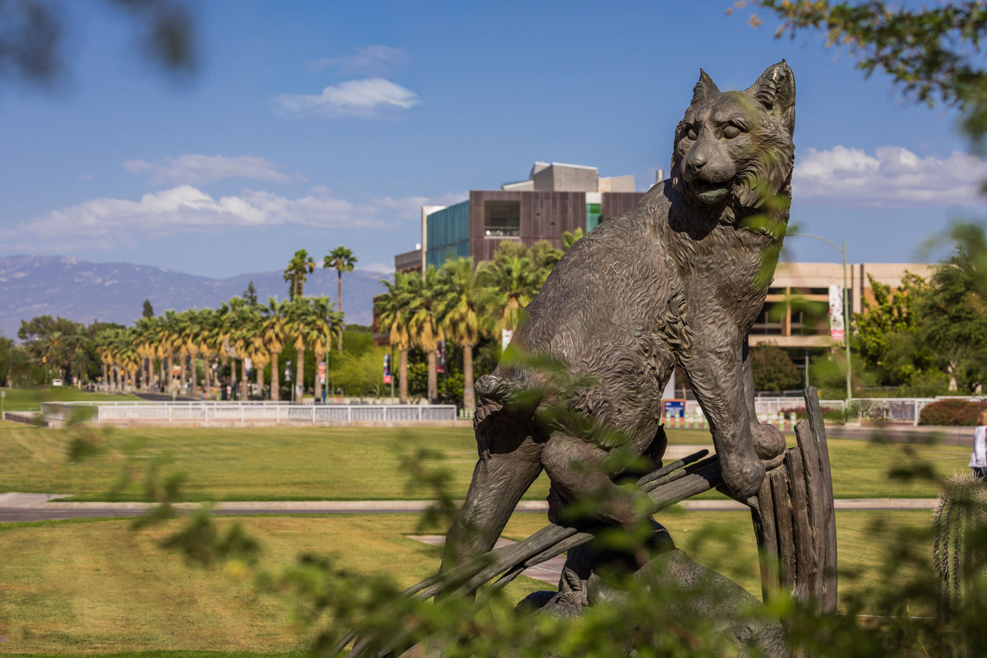 Distinguished UArizona graduates to be honored at Alumni of the Year ...